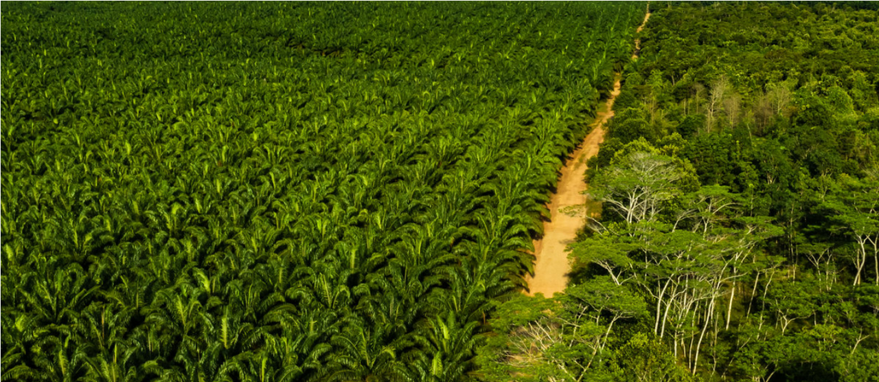 Beranda Luasan dan Produksi Deforestasi dan Emisi Perdagangan Skenario